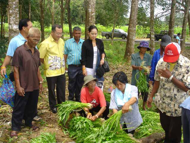 ภูเก็ตเดินหน้าแก้ปัญหาความยากจน ตั้งศูนย์เรียนรู้ชุมชนเศรษฐกิจพอเพียง