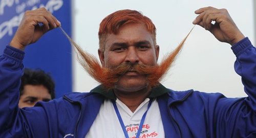 Moustache for truck