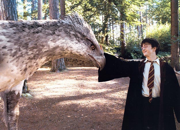 มาจนได้! หนังเรื่องใหม่จากโลกของ “Harry Potter”