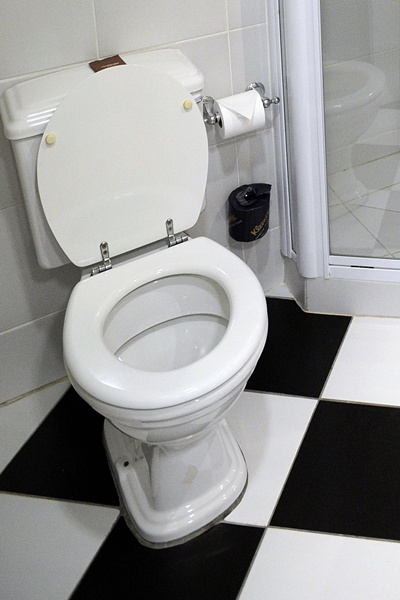 Toilet case
