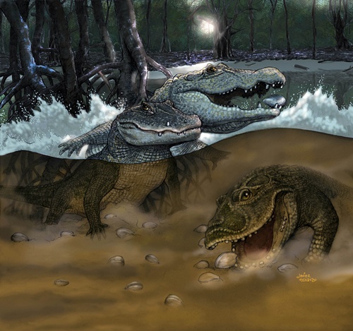 Gnatusuchus crocodile
