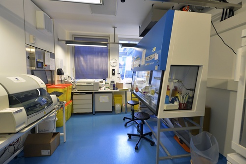 Deadly bacteria released from US high-security lab