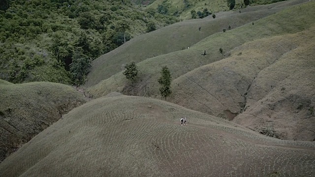 “สร้างคน-สร้างป่า-สร้างใจอนุรักษ์” จากเขาหัวโล้น..สู่ป่ายั่งยืน “Nan ...