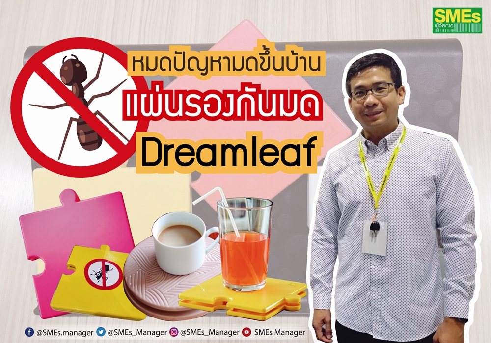แผ่นรองกันมด AntPad แบรนด์ Dreamleaf ปลอดภัยไร้ยาฆ่าแมลง