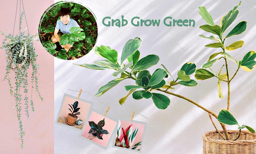 เมื่อช่างภาพขายไม้ประดับ! “Grab Grow Green” เล่าเรื่องต้นไม้ผ่านรูปถ่าย ...