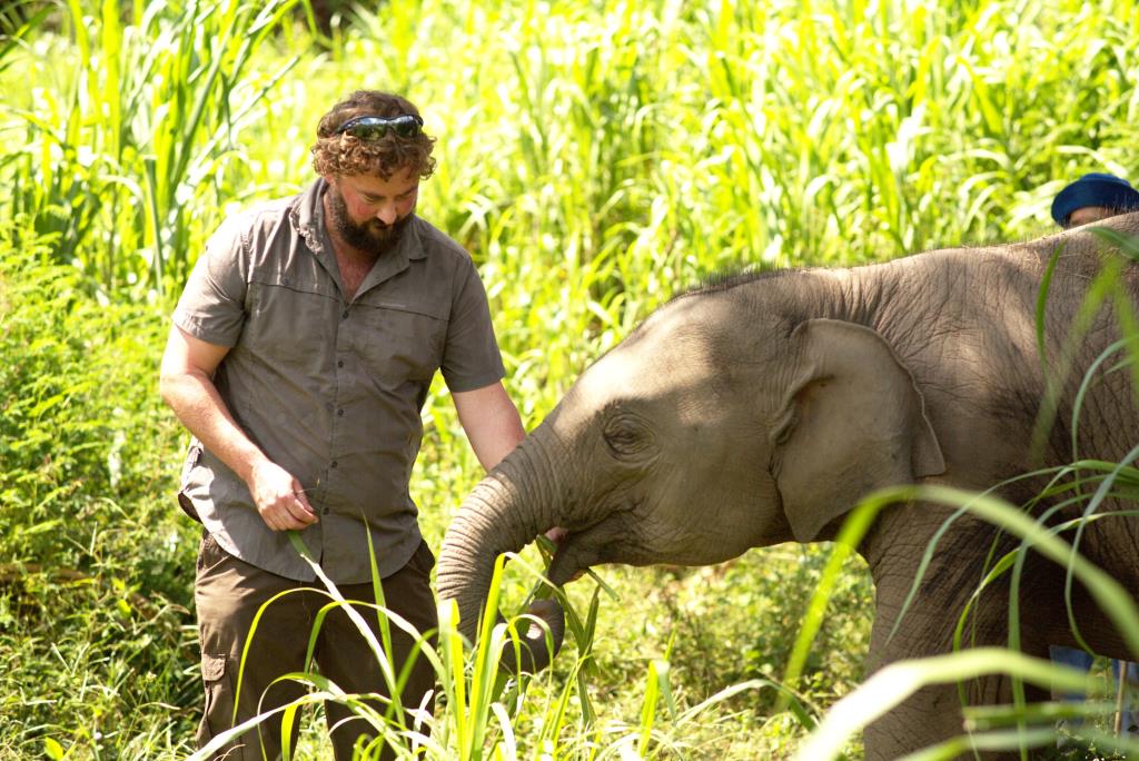 “ทรูวิชั่นส์” พาสัมผัสธรรมชาติ “The Elephant Hospital” สารคดีที่จะทำให้ ...