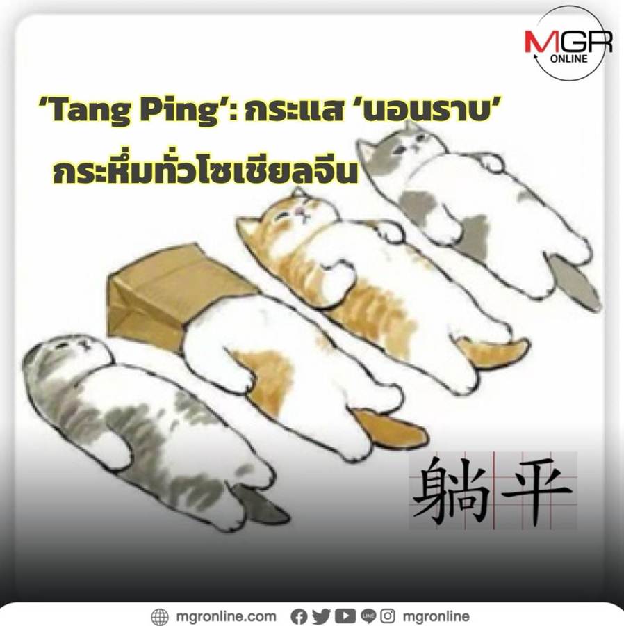 ‘Tang Ping’ : กระแส ‘นอนราบ’ กระหึ่มทั่วโซเชียลจีน กะเทาะเปลือกสังคมจีน