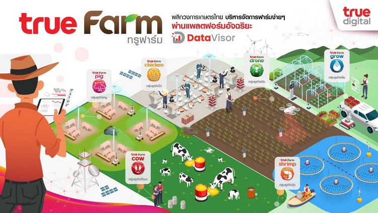 ทรู ดิจิทัล ส่ง “True Farm” พลิกวงการเกษตรไทย บริหารจัดการฟาร์มง่ายๆ ...