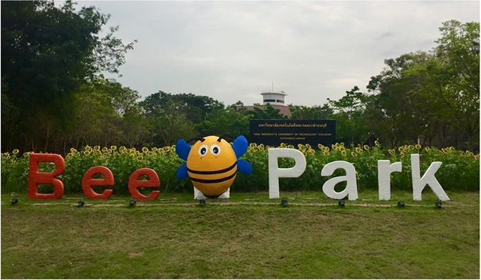 “Bee Park” ศูนย์วิจัยผึ้งพื้นเมืองฯ มจธ.ราชบุรี ยกระดับน้ำผึ้งไทย เพิ่ม ...