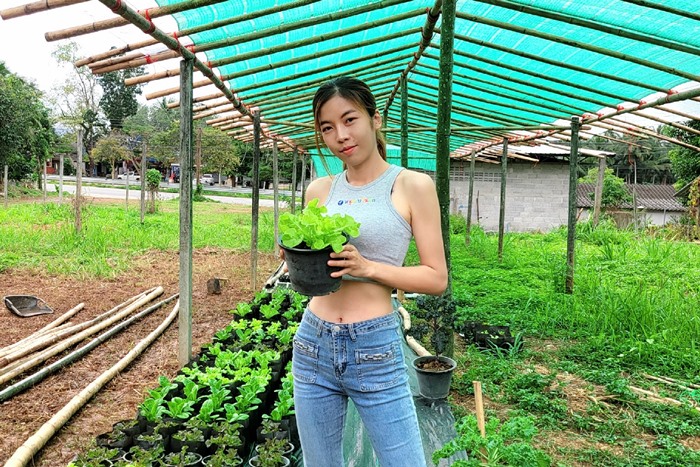 มีวันนี้เพราะผักสลัด ทิ้งงานบัญชีมาปลูกผัก เยียวยาลูกค้าซึมเศร้า รับ