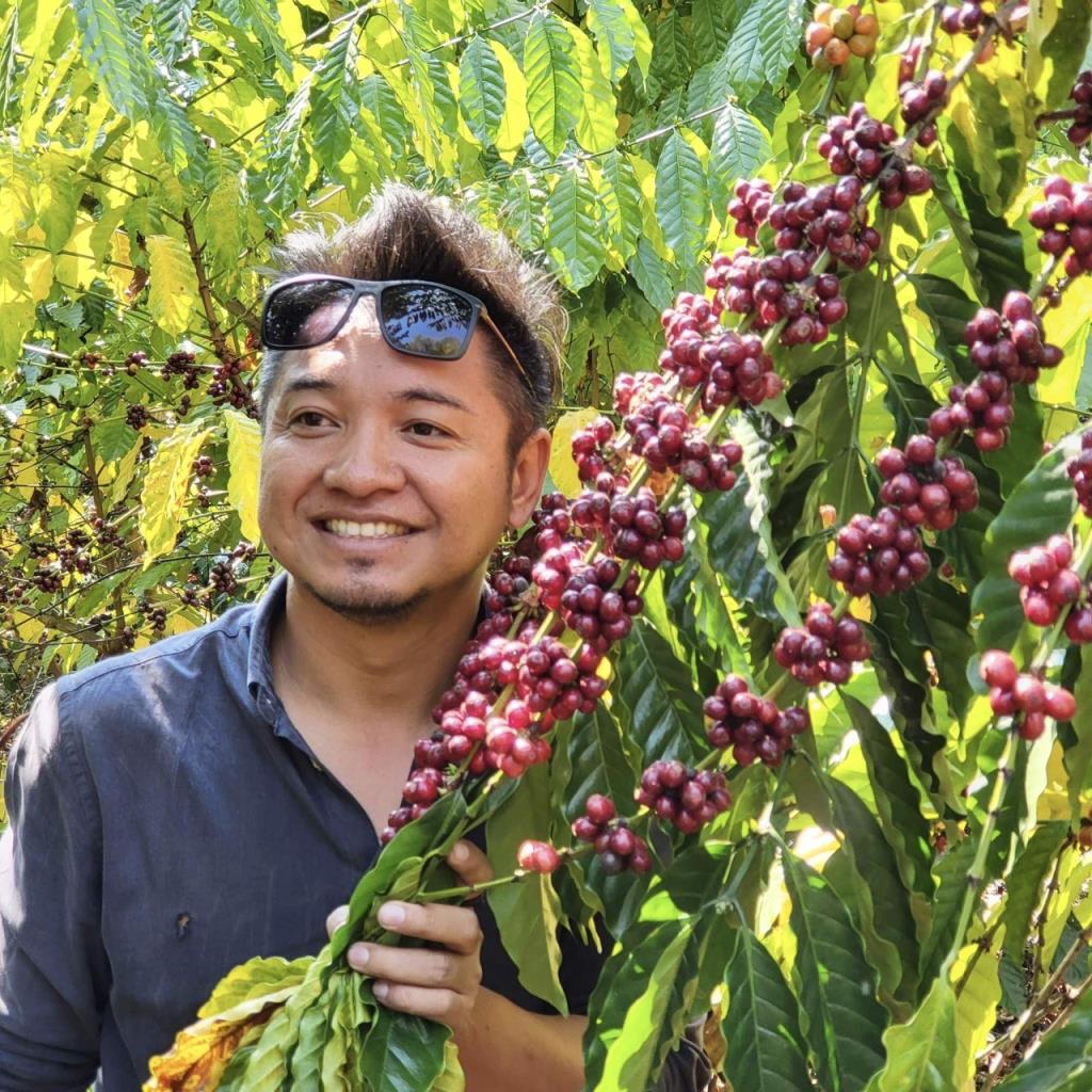 YAYO COFFEE จากครอบครัวผู้เริ่มต้นปลูกกาแฟดอยช้าง สู่โรงคั่วผลิตเมล็ด ...