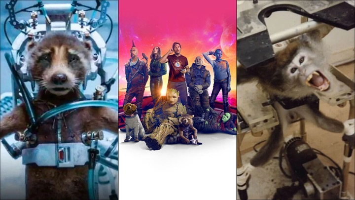 PETA ออกปากชม “Guardians of the Galaxy Vol. 3” หนังตีแผ่การทารุณกรรม ...