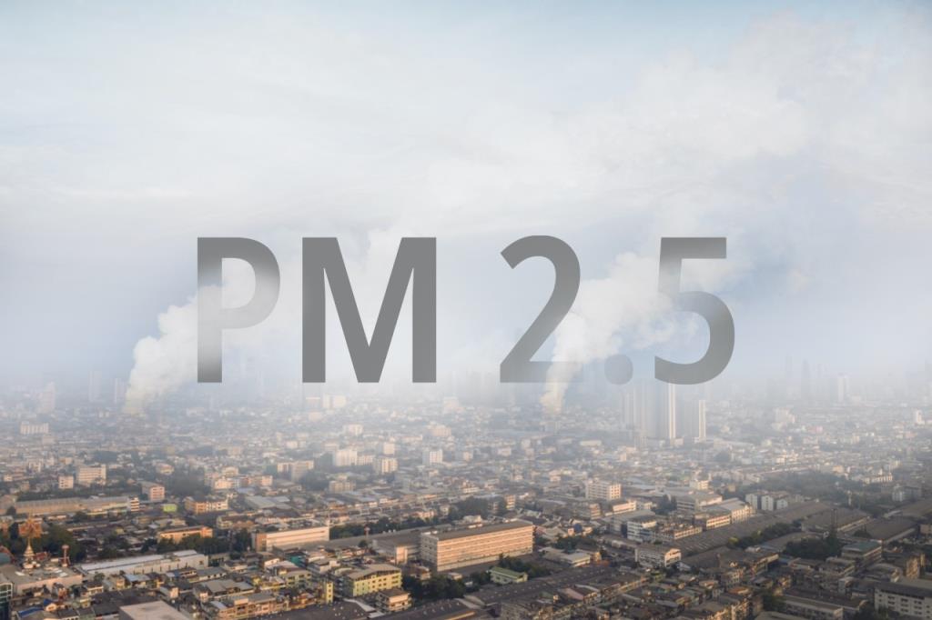 How to ต่อสู้ฝุ่น PM 2.5