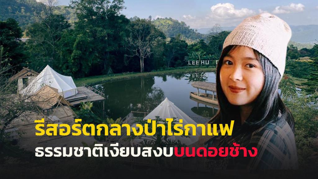 Photo Gallery Lee hu coffee farm ต่อยอดไร่กาแฟ สู่ คาเฟ่ รีสอร์ต กลาง ...