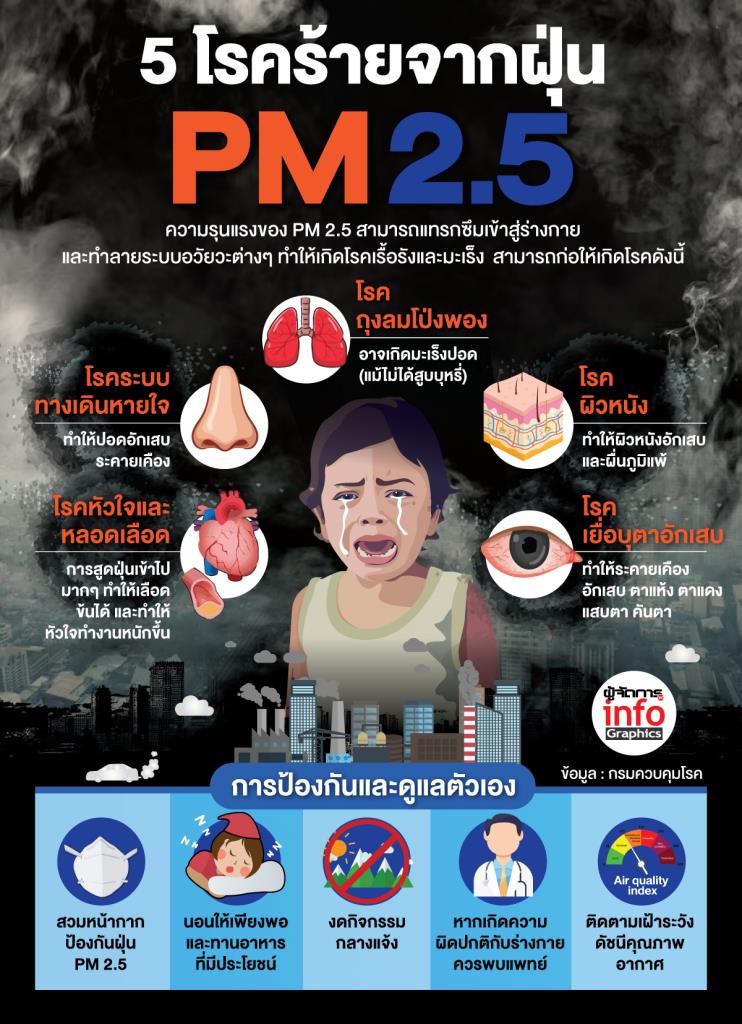 ฝุ่น PM 2.5 ภัยร้ายที่ไม่ควรมองข้าม