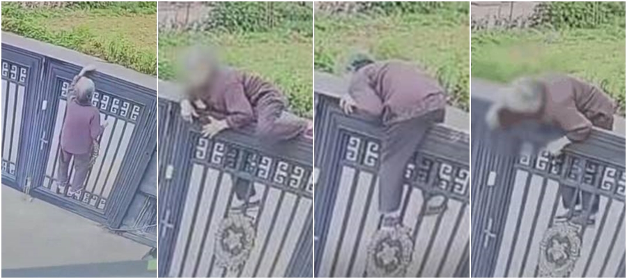 92-12 months-Previous Grandma Escapes Nursing House by Climbing Over 2 ...