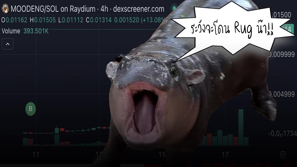 ระวัง Rug Pull! เหรียญมีม "MOODENG" พุ่ง 500% ใน 7 วัน นักเทรดลงทุน 800 ...