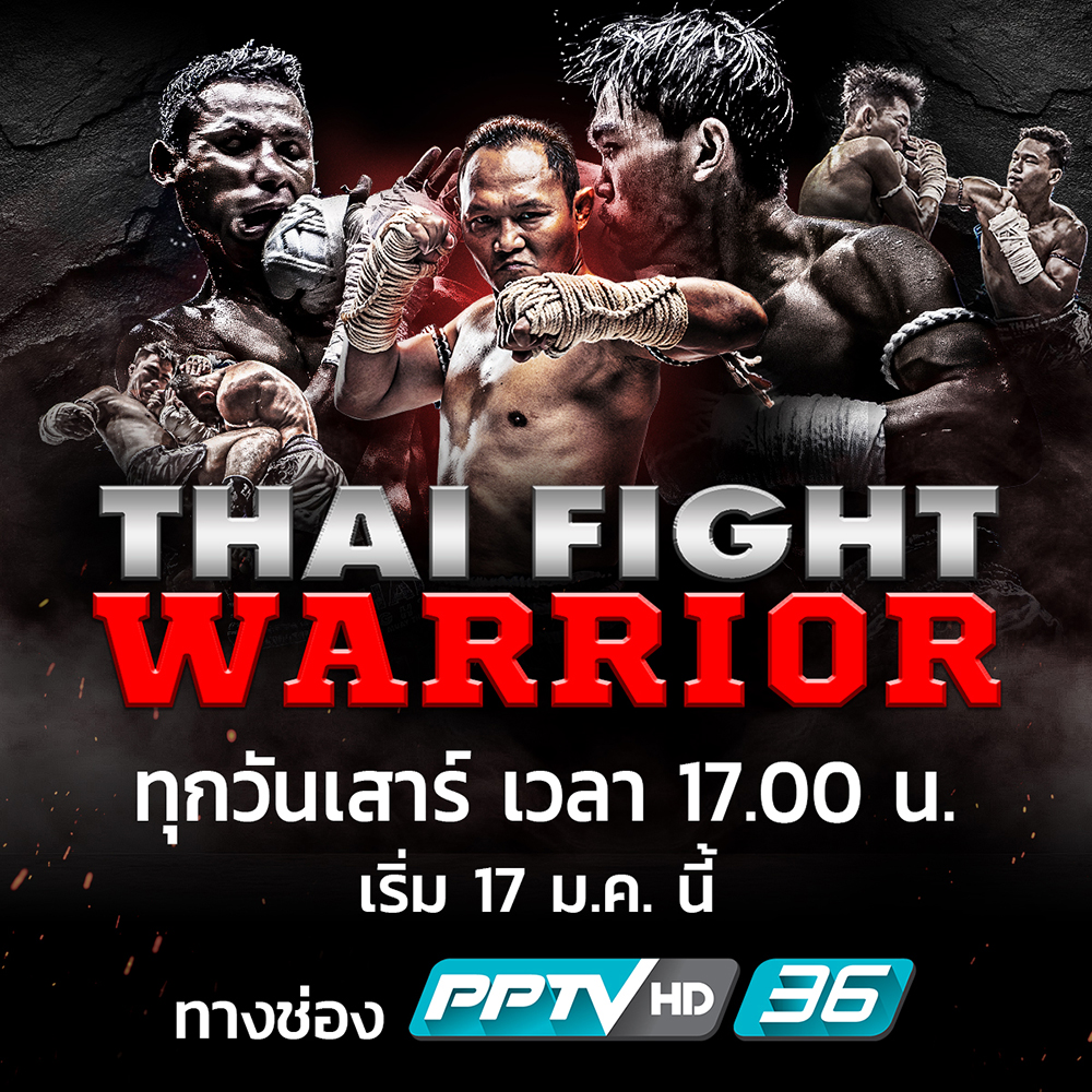 พีพีทีวี เปิดสังเวียน THAI FIGHT เดือดทุกวันเสาร์-อาทิตย์! “THAI FIGHT ...